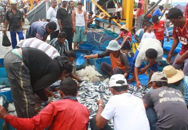 PERIKANAN NUSANTARA: PENANGANAN IKAN DI TEMPAT PELELANGAN IKAN ( TPI )