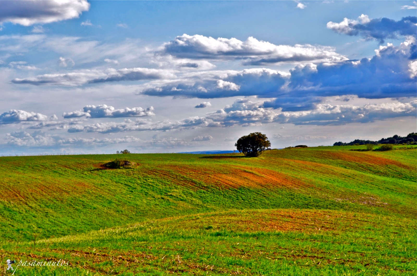 Pasaminutos; Imágenes; Jardineria; Reposteria; TrucosYConsejos ...