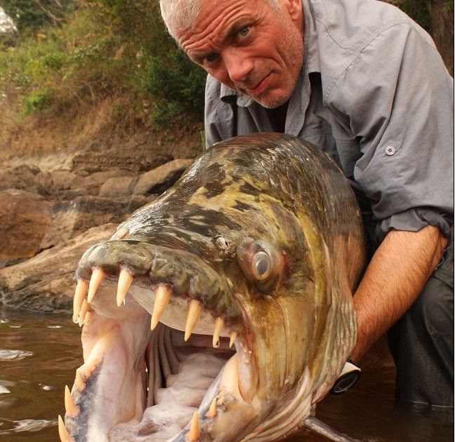 River Monsters