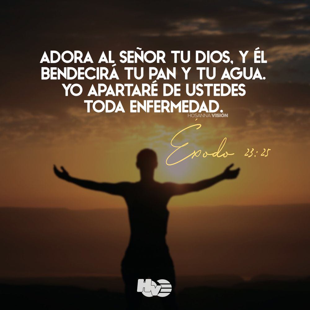 Reflexiones Diarias de Vida: Adora al Señor tu Dios Reflexiones Diarias de Vida: Adora al Señor tu Dios