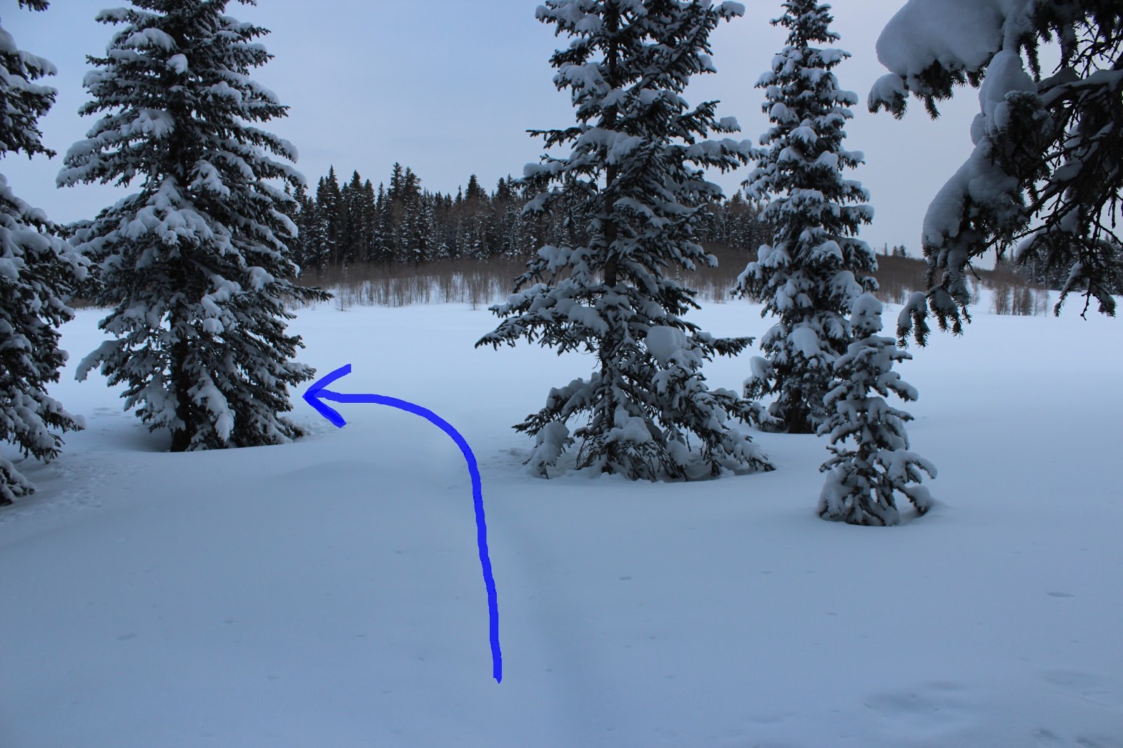 gjhikes.com: Griffith Lake Nordic