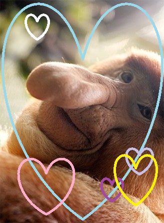 "I'm a cute cliché" : r/punchablefaces