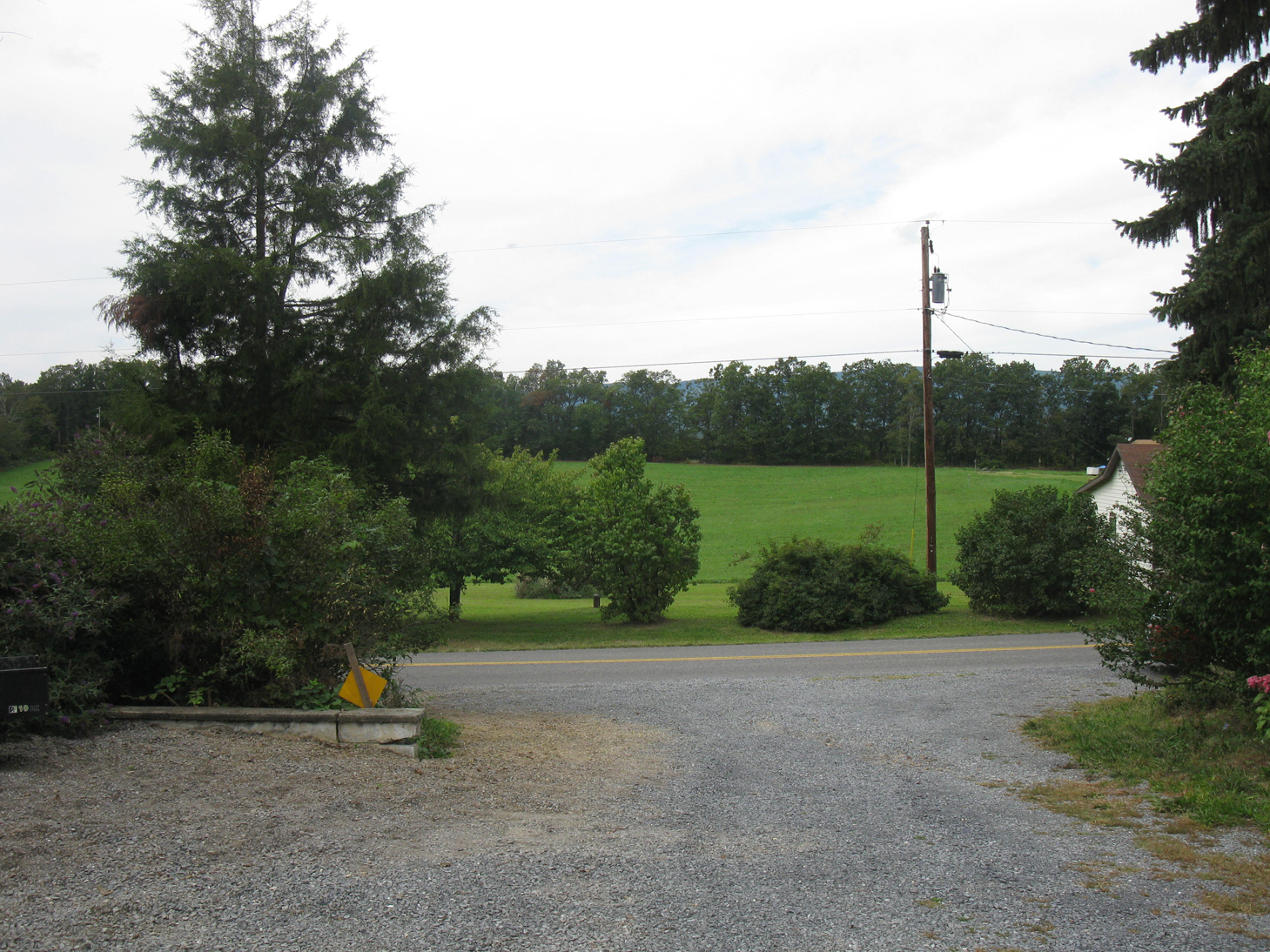 Eccentric Roadside: Outstanding in their field: The Farnham Colossi of ...