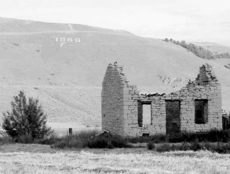 They Came to America . . .: William Whitehead 1839-1881