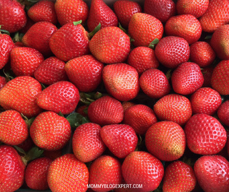 MOMMY BLOG EXPERT: Easy Chocolate Berry Bark Recipe With Berries