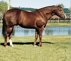 Tambor e Baliza: Lendas do Quarto-de-Milha - EUA - Corrida