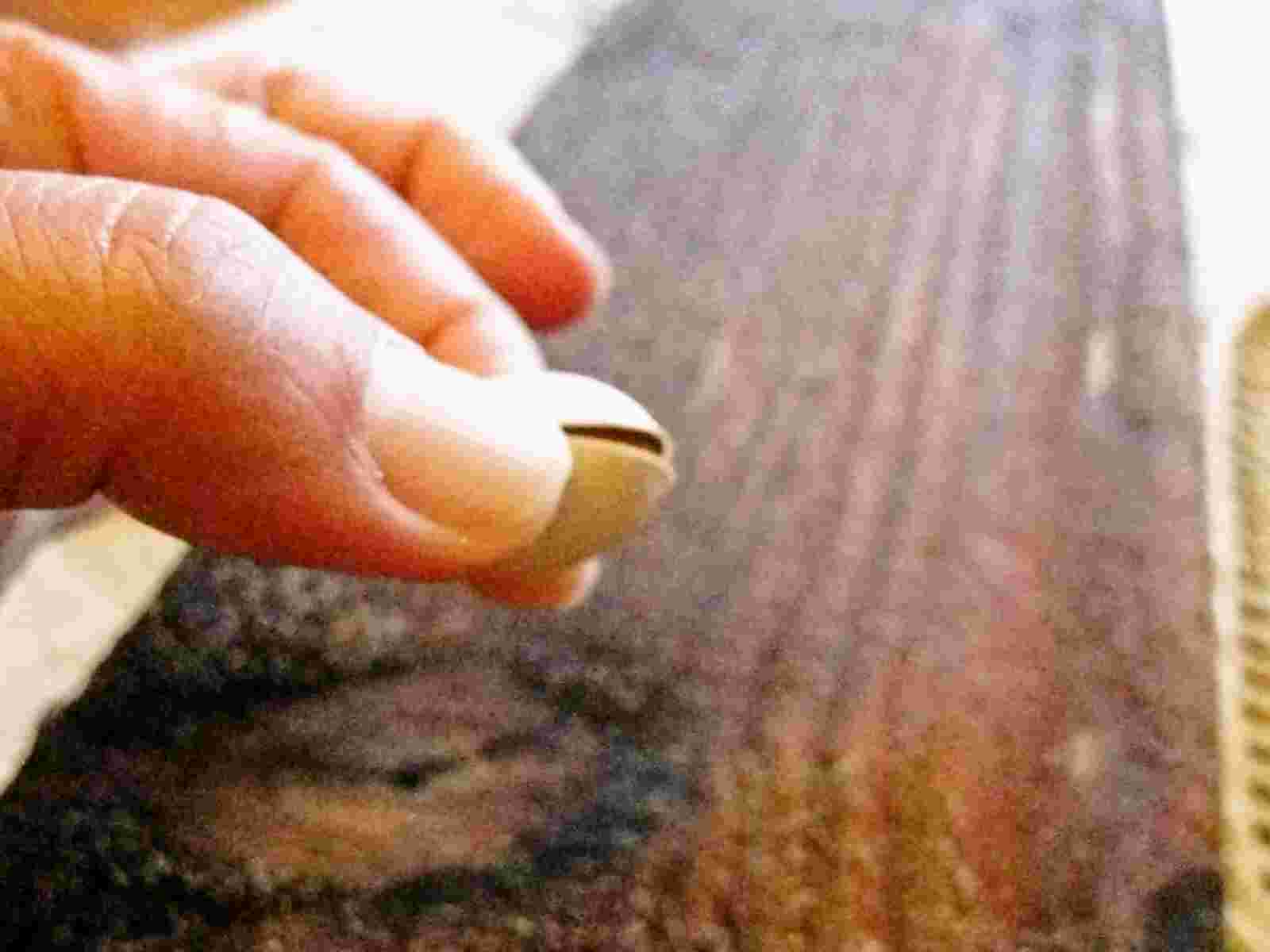 Recipes for Tom: Ginnan gingko nut prep