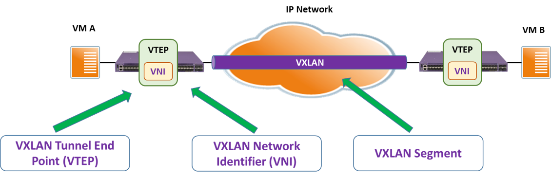 Extreme Switch - How to Configure VXLAN in EXOS | AnalysisMan