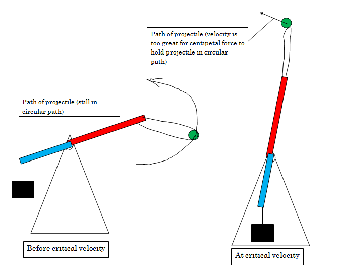 Surviving IB Physics: TREBUCHETS!!!
