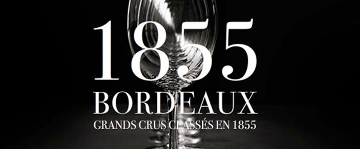 The World of Wine Review: France Unit 7 - The Bordeaux