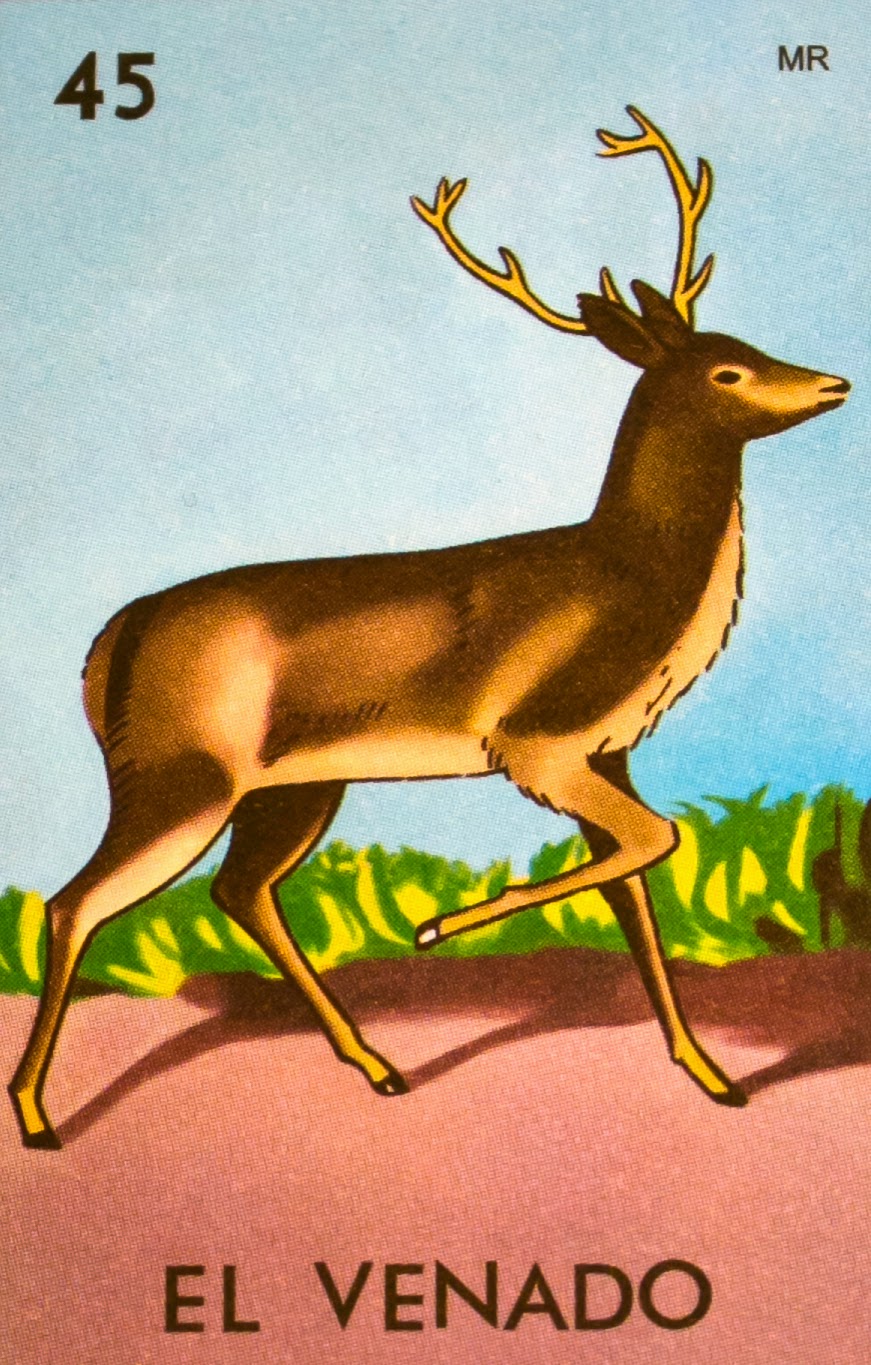 One Day, One Quote, One Photo.: El Venado, Portland, OR