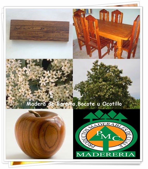 Productos Maderables de Cuale: Maderas Exóticas conocelas ................
