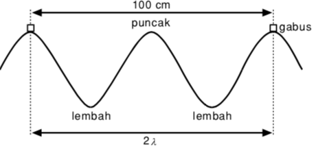 Dua gabus berada di puncak-puncak gelombang. Keduanya bergerak naik ...