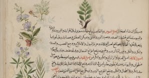 Digitized Collection of Arabic and Persian Medical Books and ...