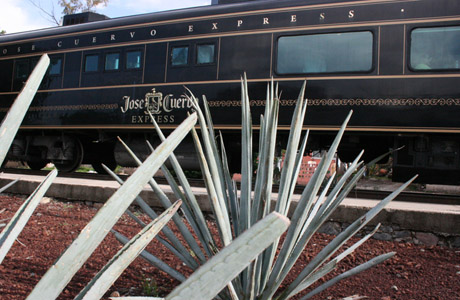 José Cuervo Express, disfrutando tequila