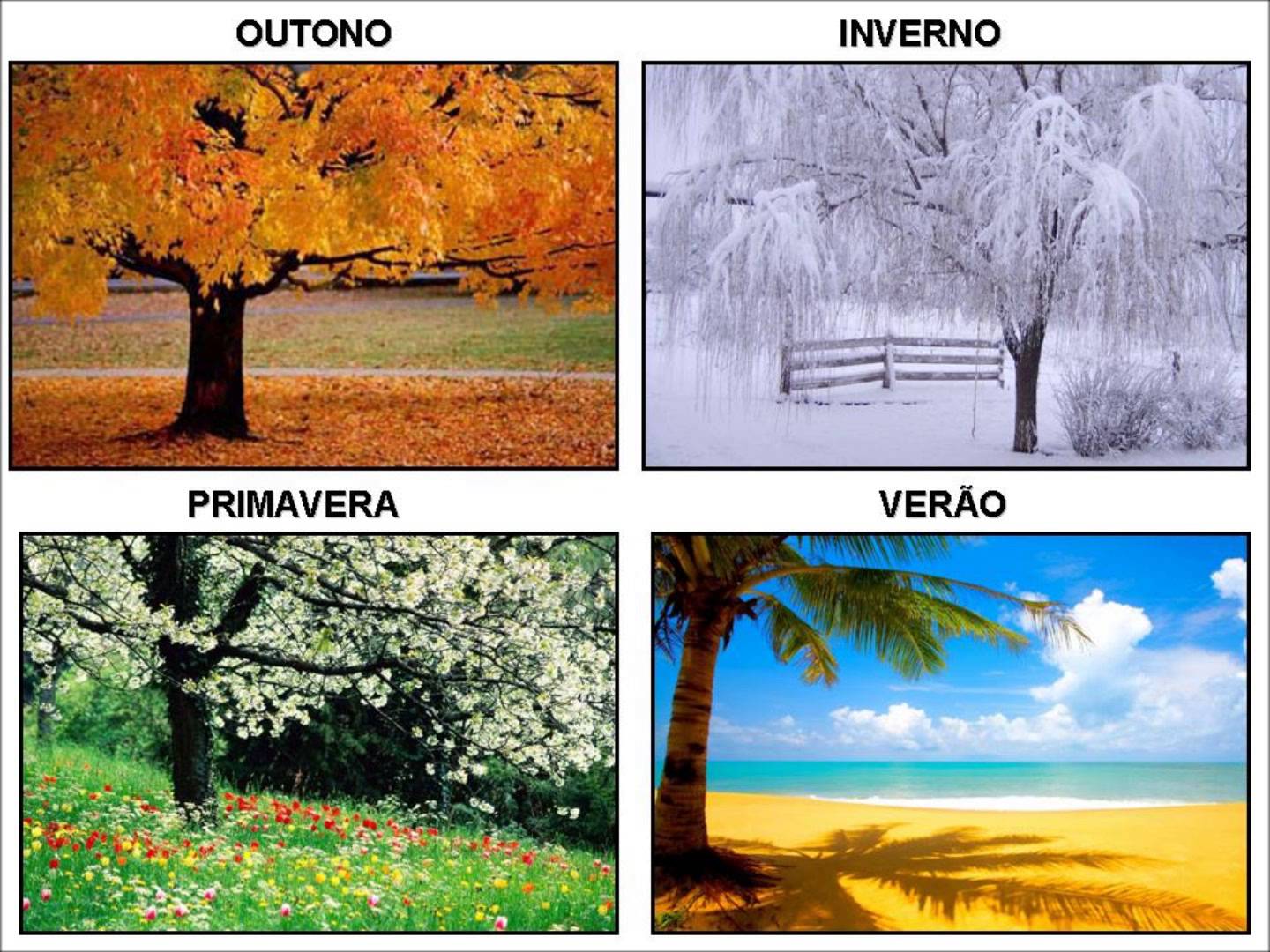 Aprofundando Conhecimentos: Haicai: 4 estações (Verão, Outono, Inverno ...