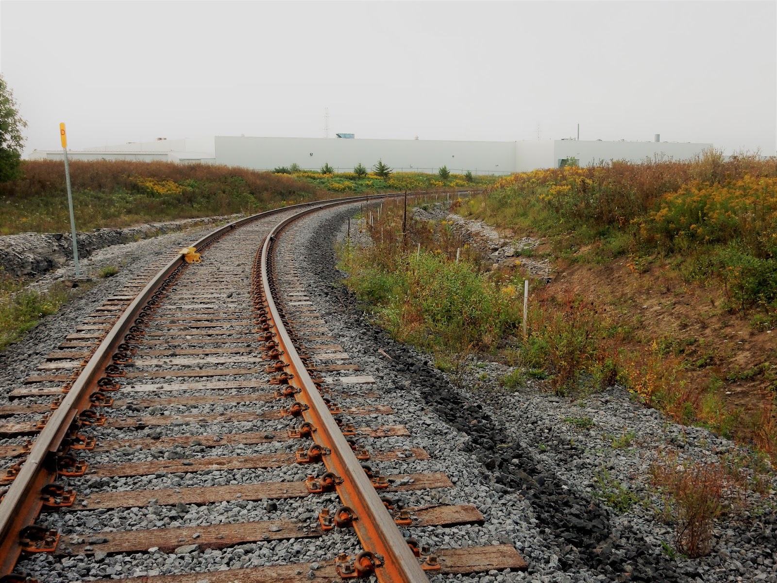 Trackside Treasure: Picton Train Show, September 2018