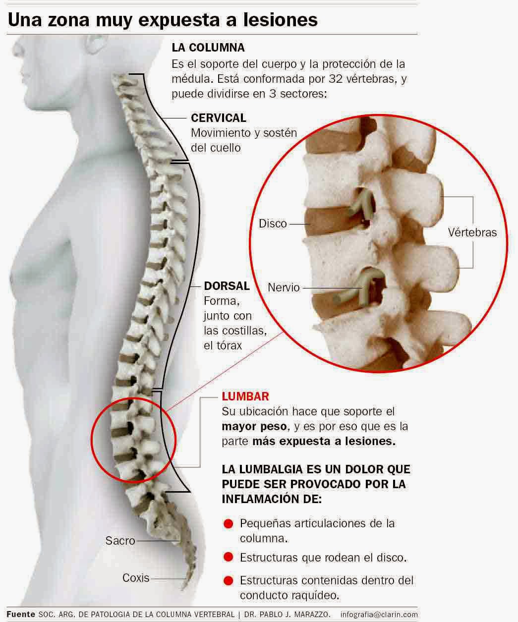 Quiropráctica: Espalda Sana y salud óptima en Denia: LA IMPORTANCIA DE ...