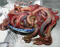 Laman Pengail: CARA MENCARI UMPUN-UMPUN