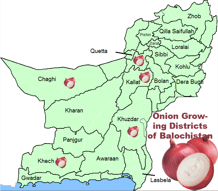 BABAR WORDS: Onion Growing Districts of Pakistan by Maps