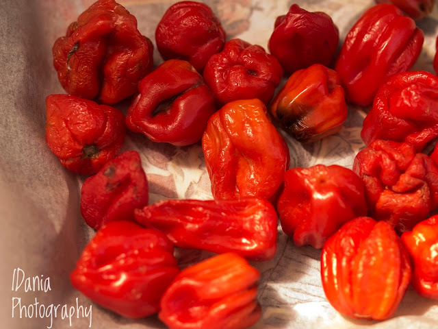 El AROMA DE IDANIA: AJÍ CACHUCHA...(ENCURTIDO)... EL SABOR DE MI TIERRA