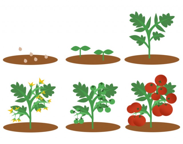 EXAMS AND ME : Burgeoning