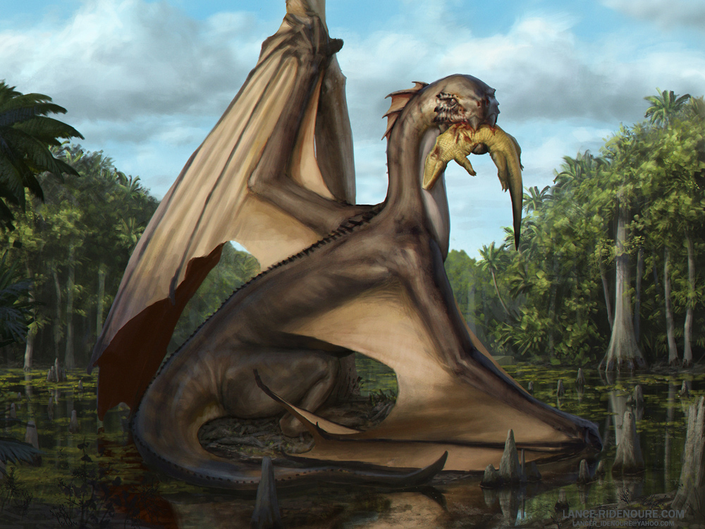 The Dracopedia Project: Dracopedia Art Contest-Entries