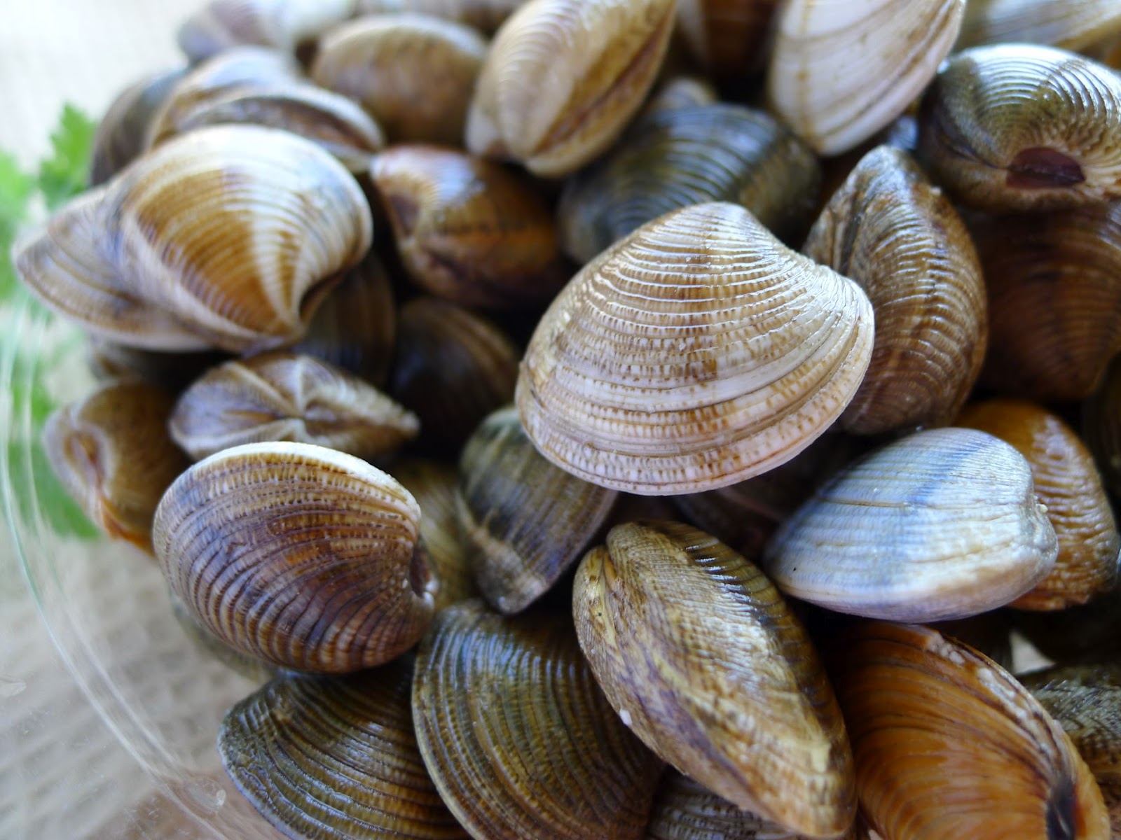 MY KITCHEN IN SPAIN: CLAUDIA RODEN'S THE FOOD OF SPAIN