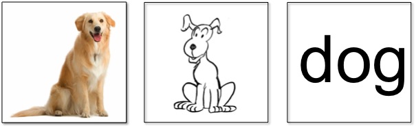 SCAAC-N: Assessing Symbol Association