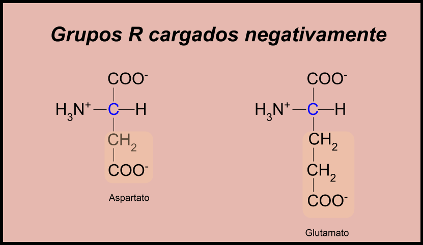 Química Sexto: Clasificación de los aminoácidos según el grupo R