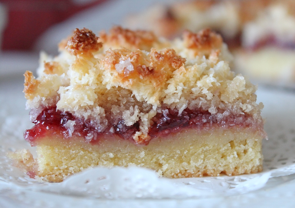 Raspberry and Coconut Slice - Threadbare Creations