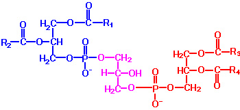 Bioquímica nas emergências cardíacas: CARDIOTOXICIDADE DE ANESTÉSICOS ...