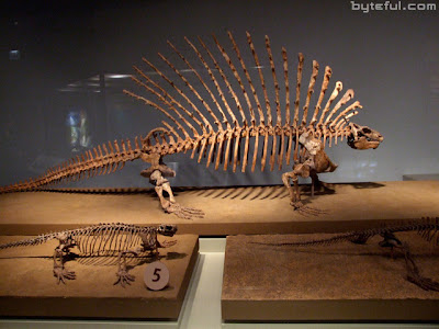 Life Before the Dinosaurs: Edaphosaurus.