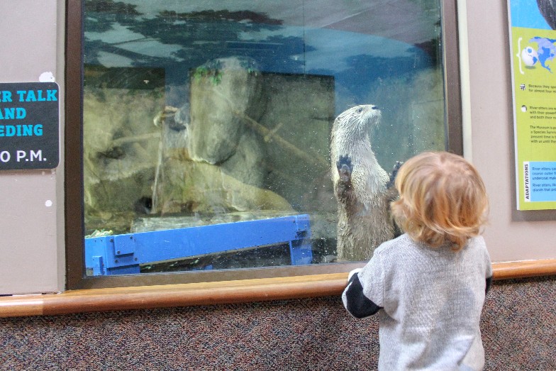 (Bee)autiful Blessings: Our Trip to the Boonshoft Museum of Discovery ...