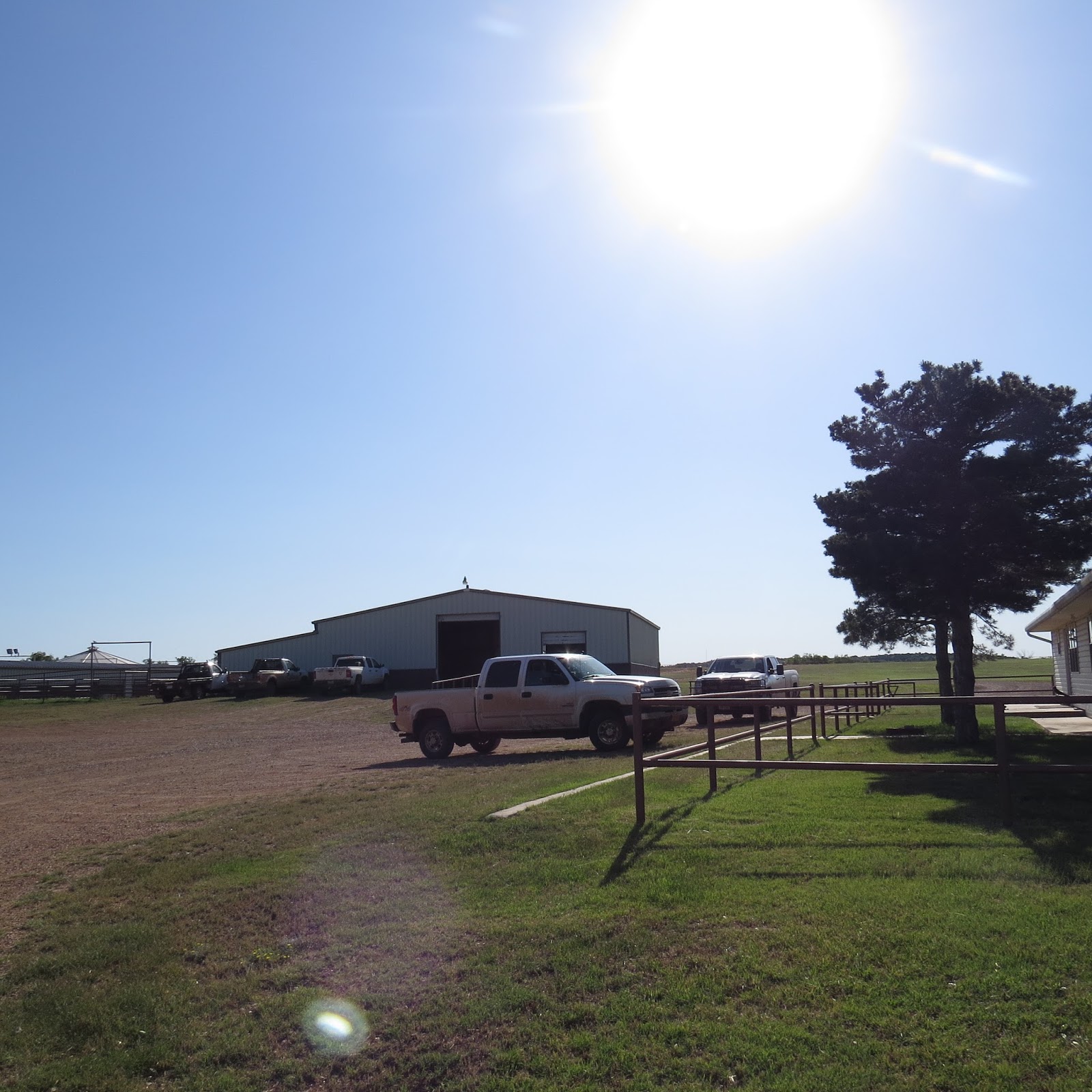 Navasota Ranch: Triangle Ranch, Cottle County Texas