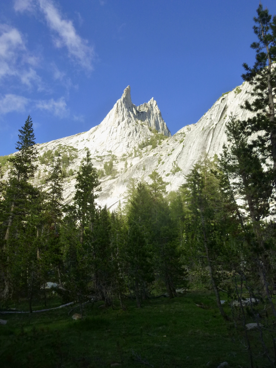 The Saratoga Skier and Hiker: Tenaya Peak, Yosemite Nat'l Park: 06/26/2013