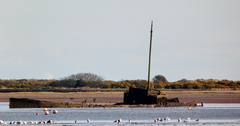 Starcross History Society: The SS South Coaster