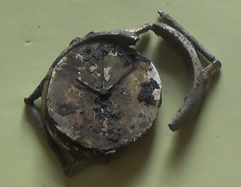 The Treasure Beaches Report Direct From Florida's Treasure Coast.: 11 ...