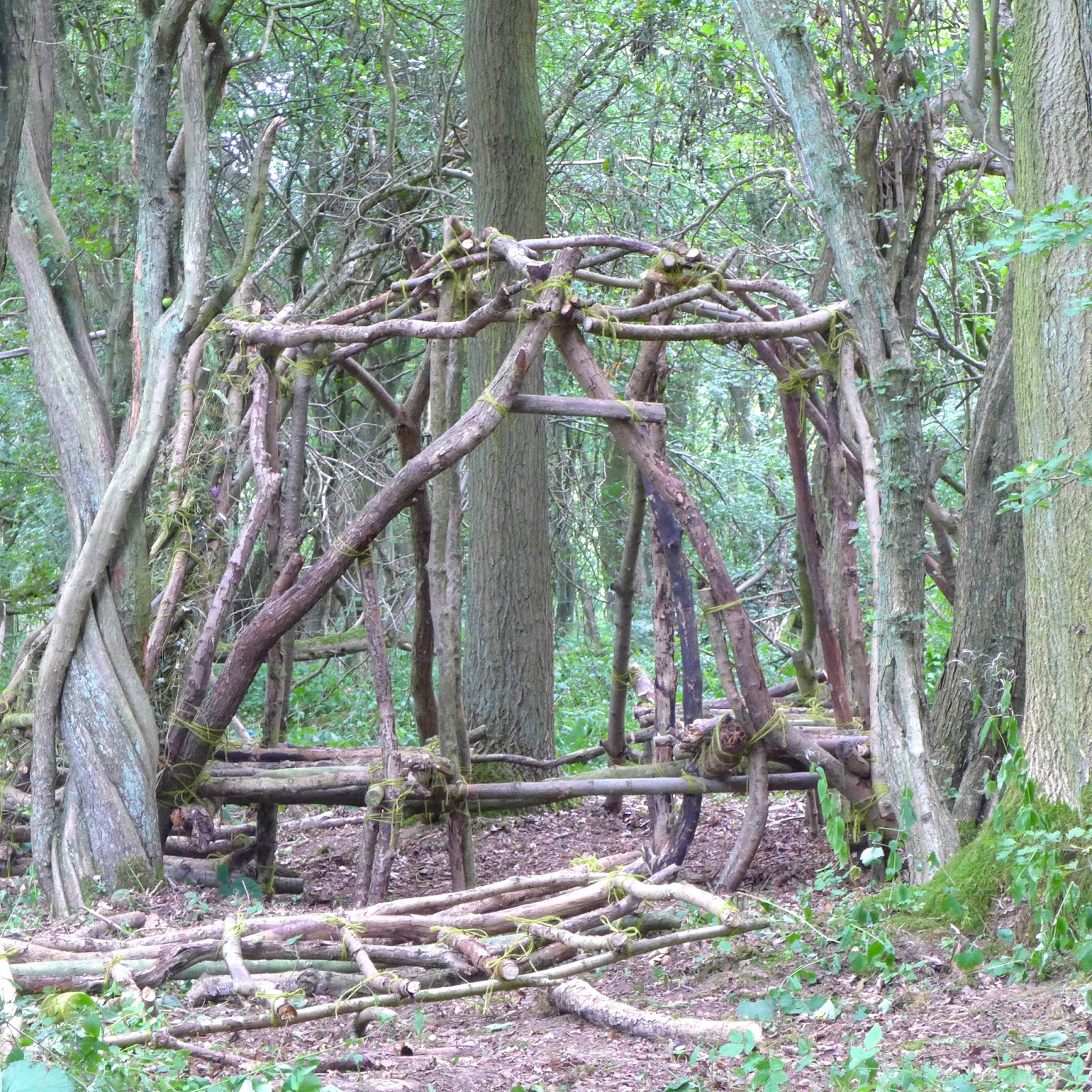 Alec Finlay: bow down: a bower for Duke's Wood