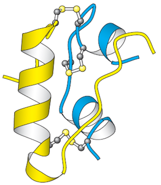 Insulin - Structure