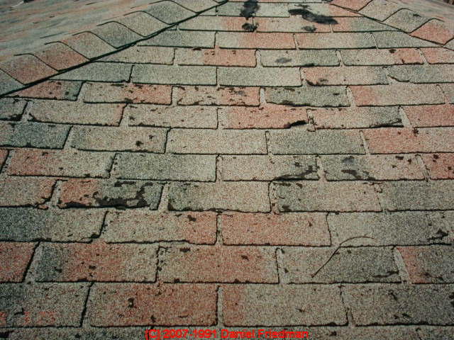 Your Permit Solution: Asphalt Shingle Weathering