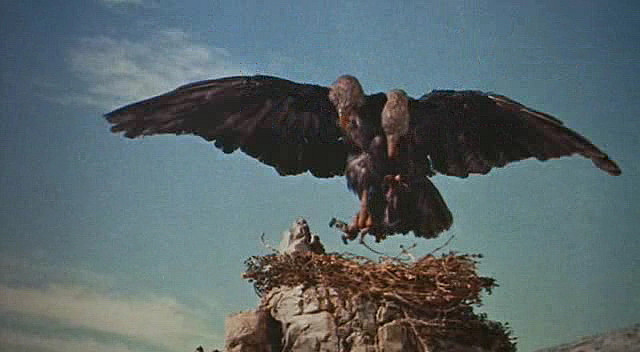 Less Hat, Moorhead: ROC STAR