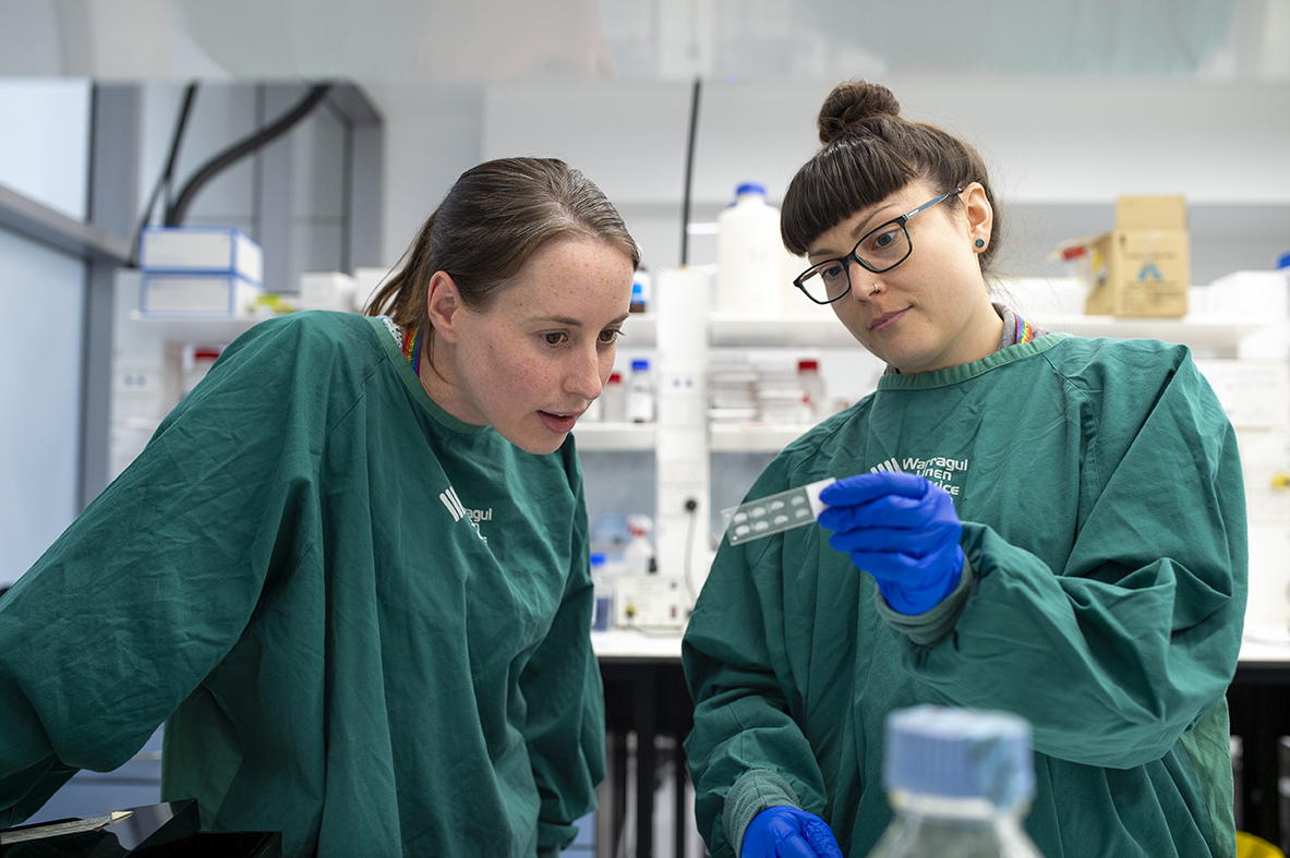 Central Clinical School News Blog: Grant win for Dr Bridgette Semple