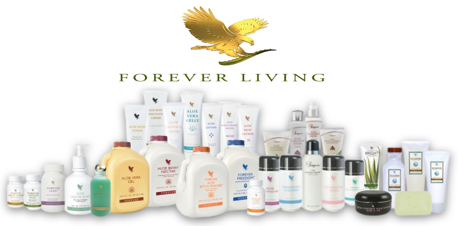 kema: OTHER PRODUCTS