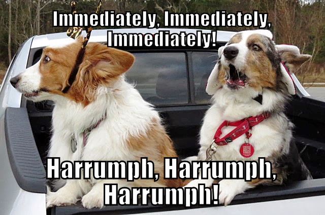 The Chronicles of Cardigan: It Rhymes With 'Hump' Day: Harrumph ...
