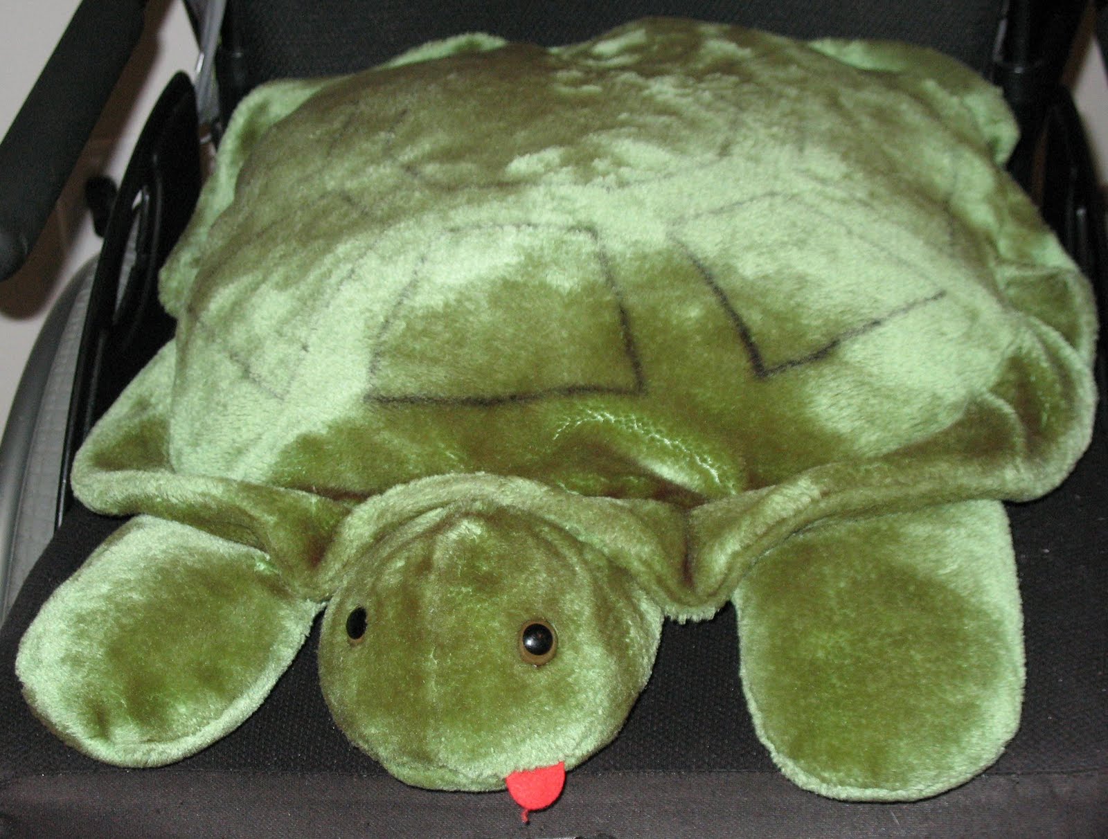 The Turtle Walks: The Council of Disabled Animal Friends, Part 1