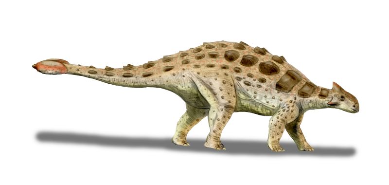 Escenarios prehistóricos: Ankylosaurus