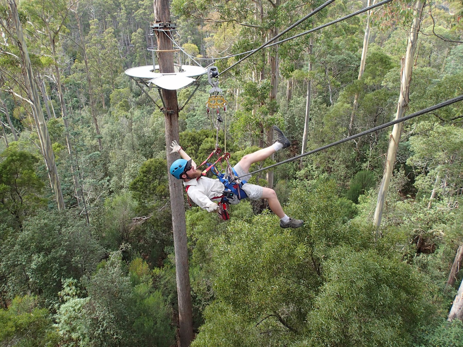 畏高的我在塔斯曼尼亞玩鋼索飛行 Zipline in Tasmania