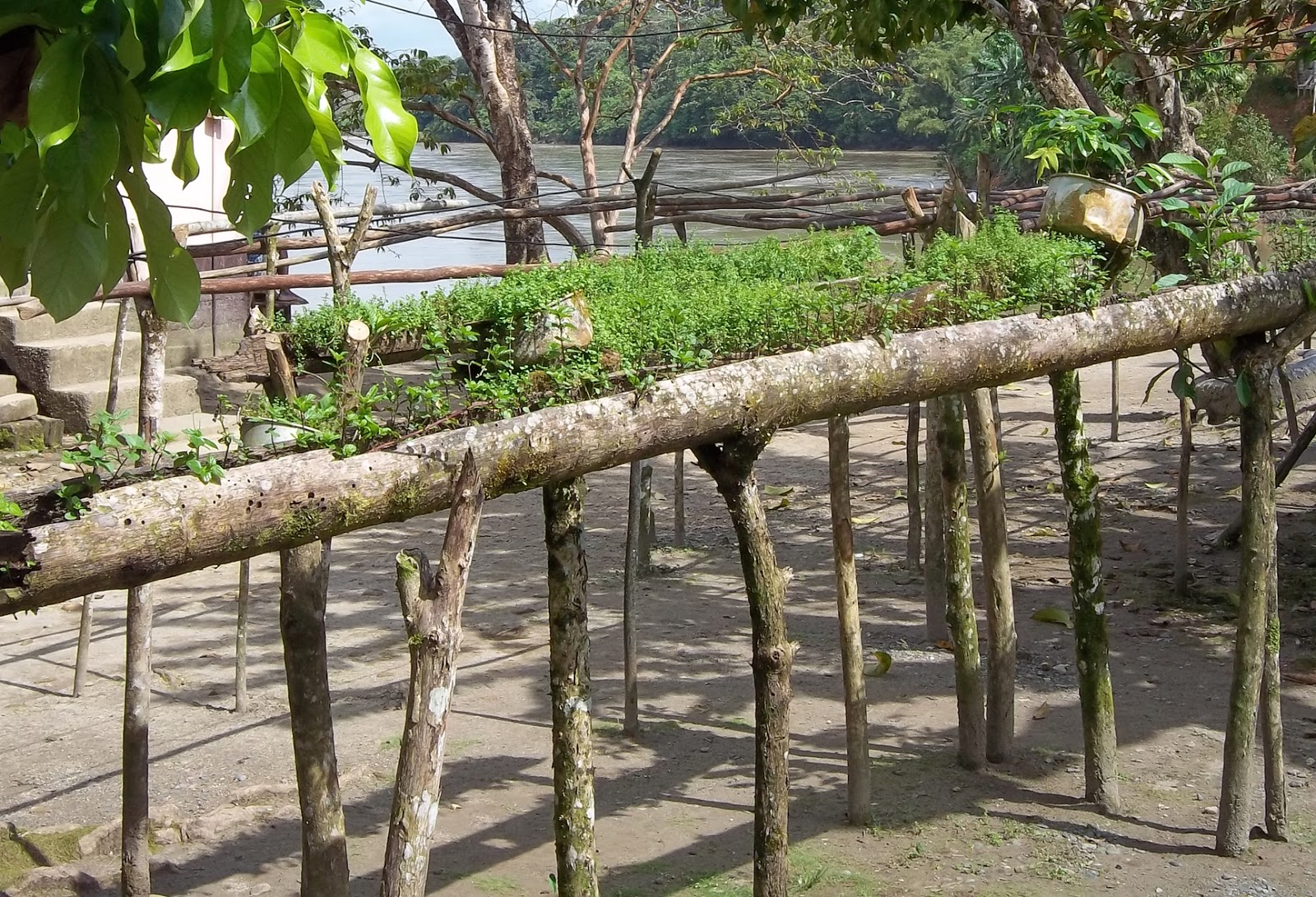 El Chocó - Una Cultura de Resistencia: LA VIVIENDA TRADICIONAL CHOCOANA