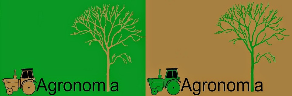 Agronomia Que Es